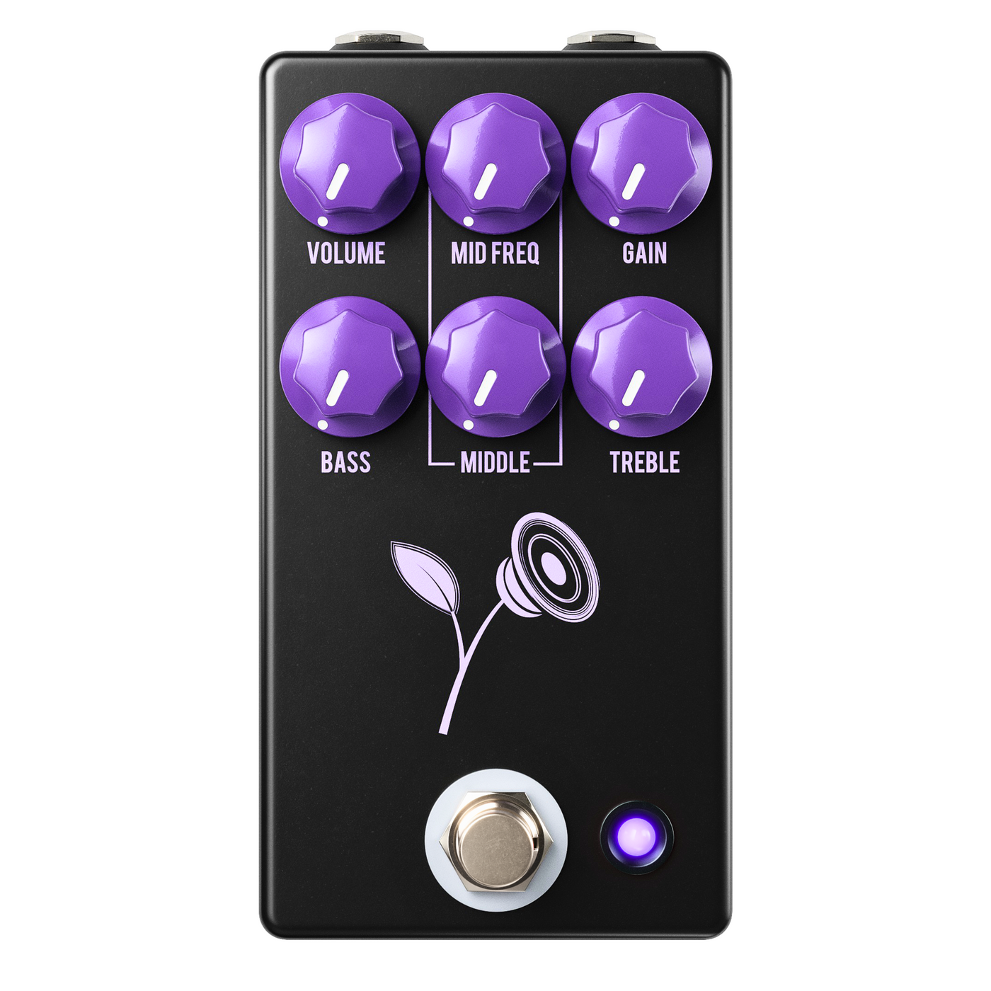 JHS Violet Lari Basilio Signature — Echoinox